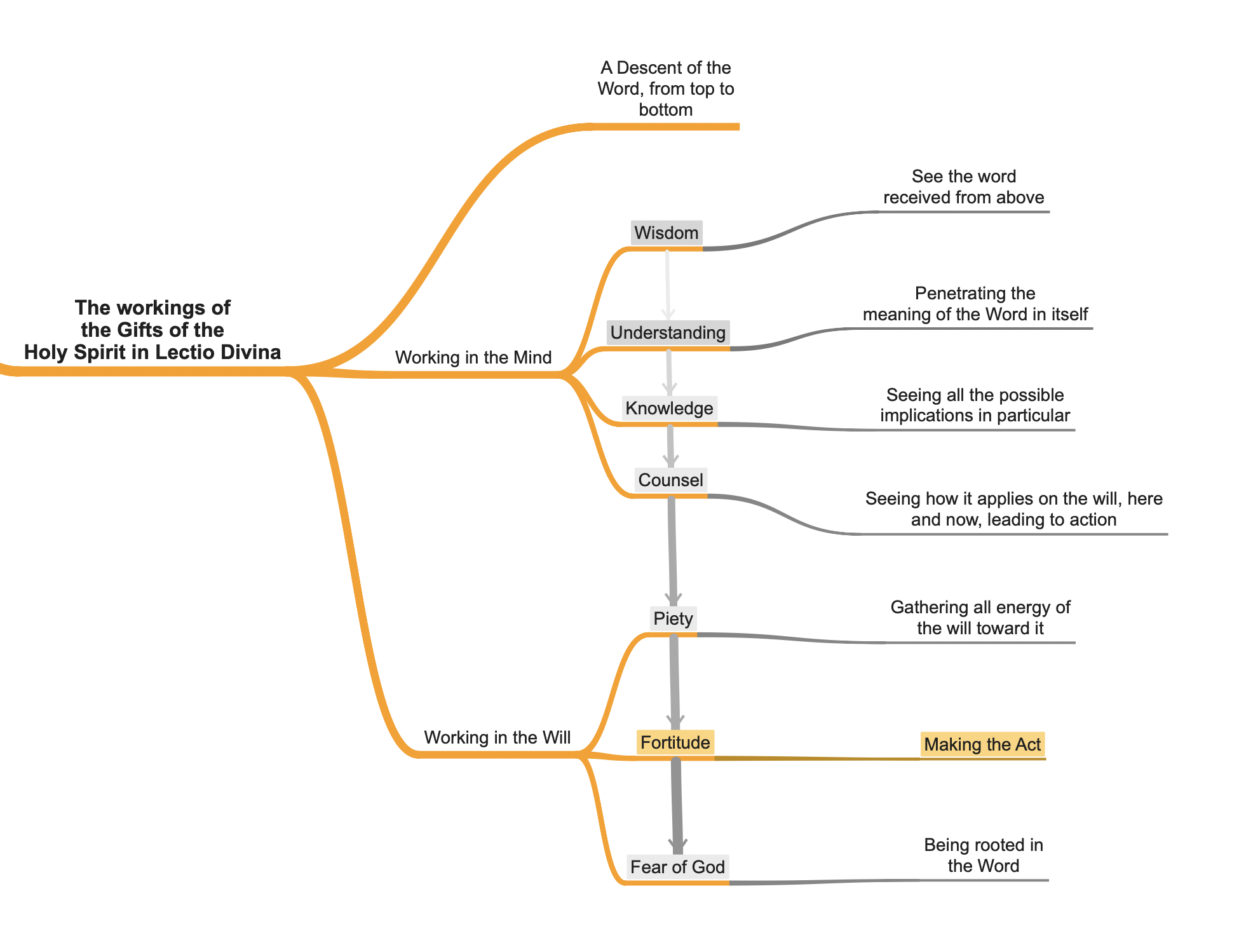 The Nature of Contemplation in Lectio Divina – School of Mary